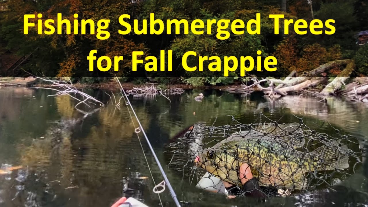 Fishing Submerged Trees for Fall Crappie - YouTube
