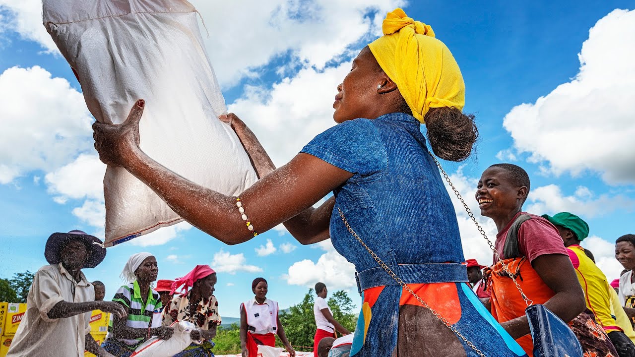 The Red Cross delivers food to families in Zimbabwe - YouTube