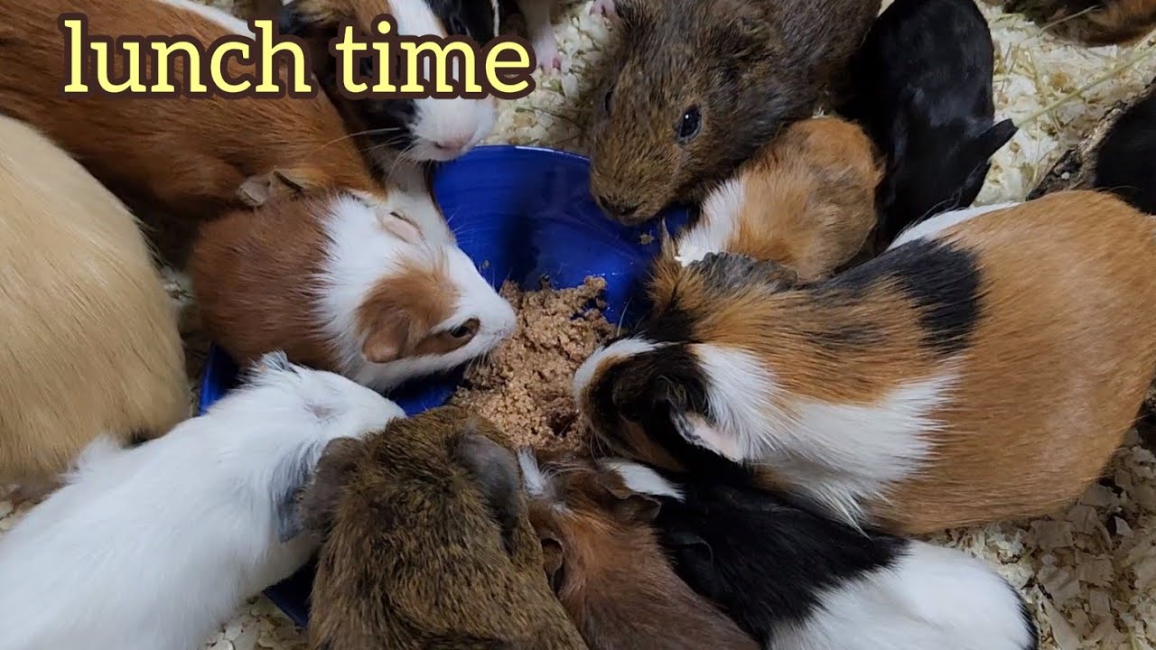 lunch time - YouTube
