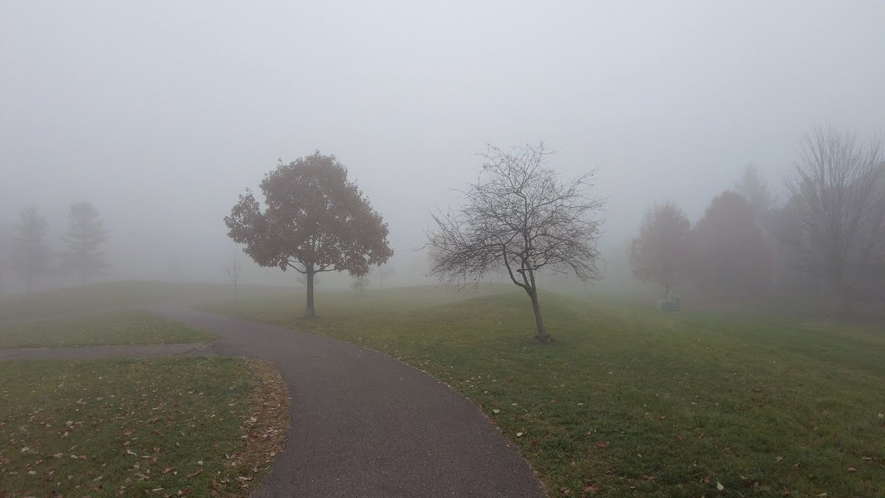Ann Arbor 4K Fall Fog Walk - Exploring the Misty Forest - Cranbrook ...