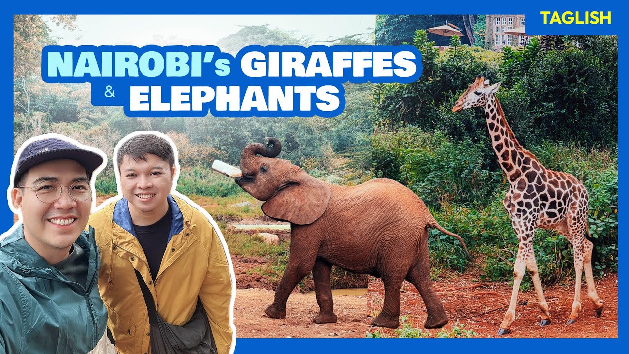 NAIROBI KENYA VLOG 2: Elephant Nursery & Giraffe Center • The Poor ...