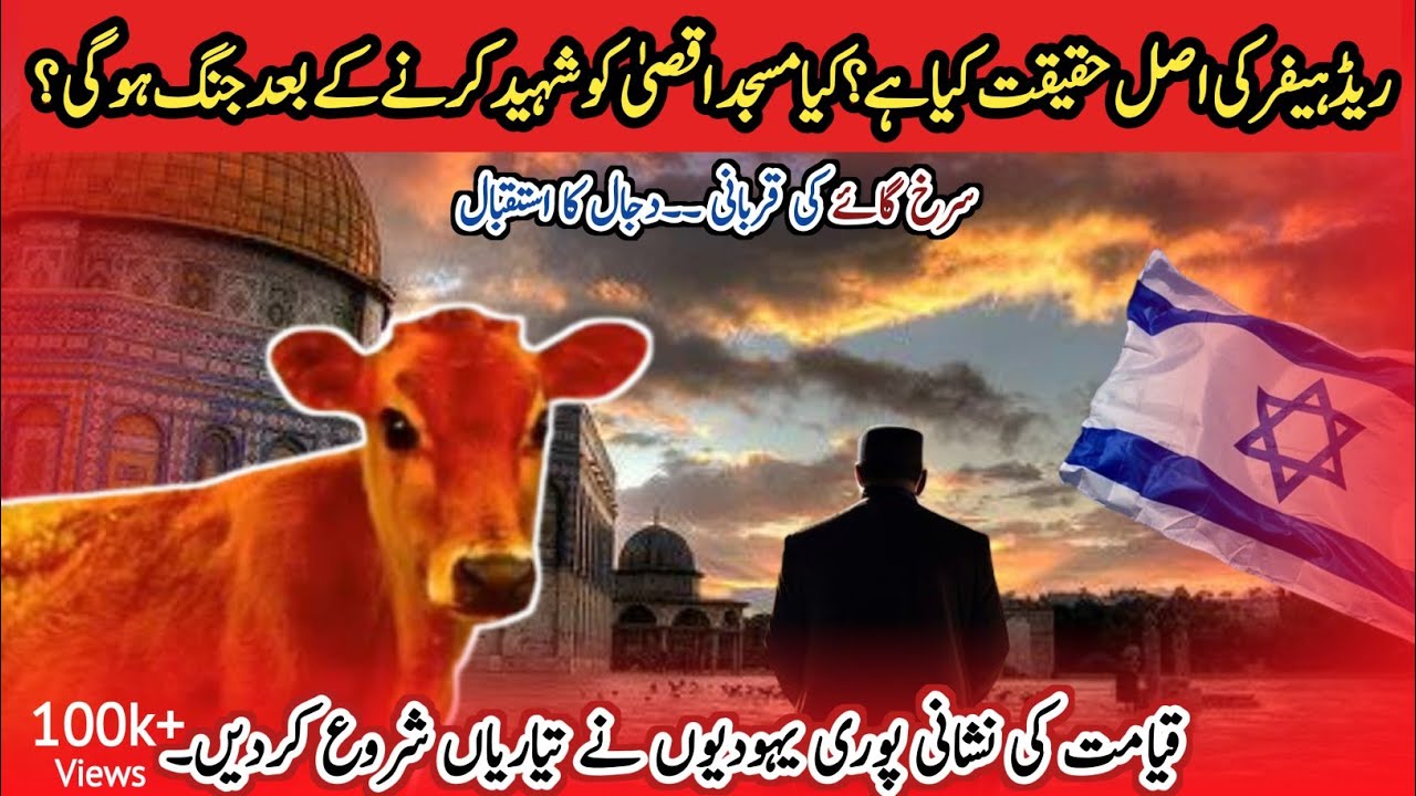 israel Sacrifice Red Heifer in April | Qiyamat Ki Bari Nishani.Red Cow ...