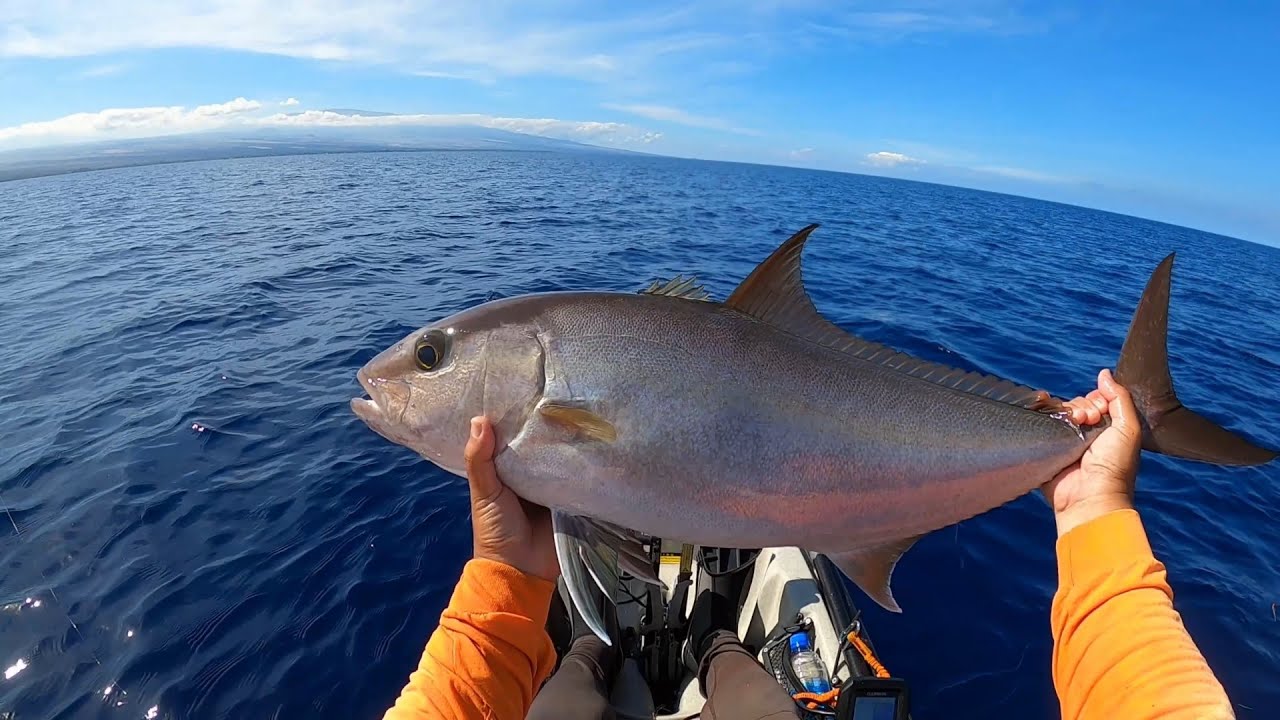 Hawaii Kayak Fishing | Huge School of Rainbow Runners, Vertical Jigging ...