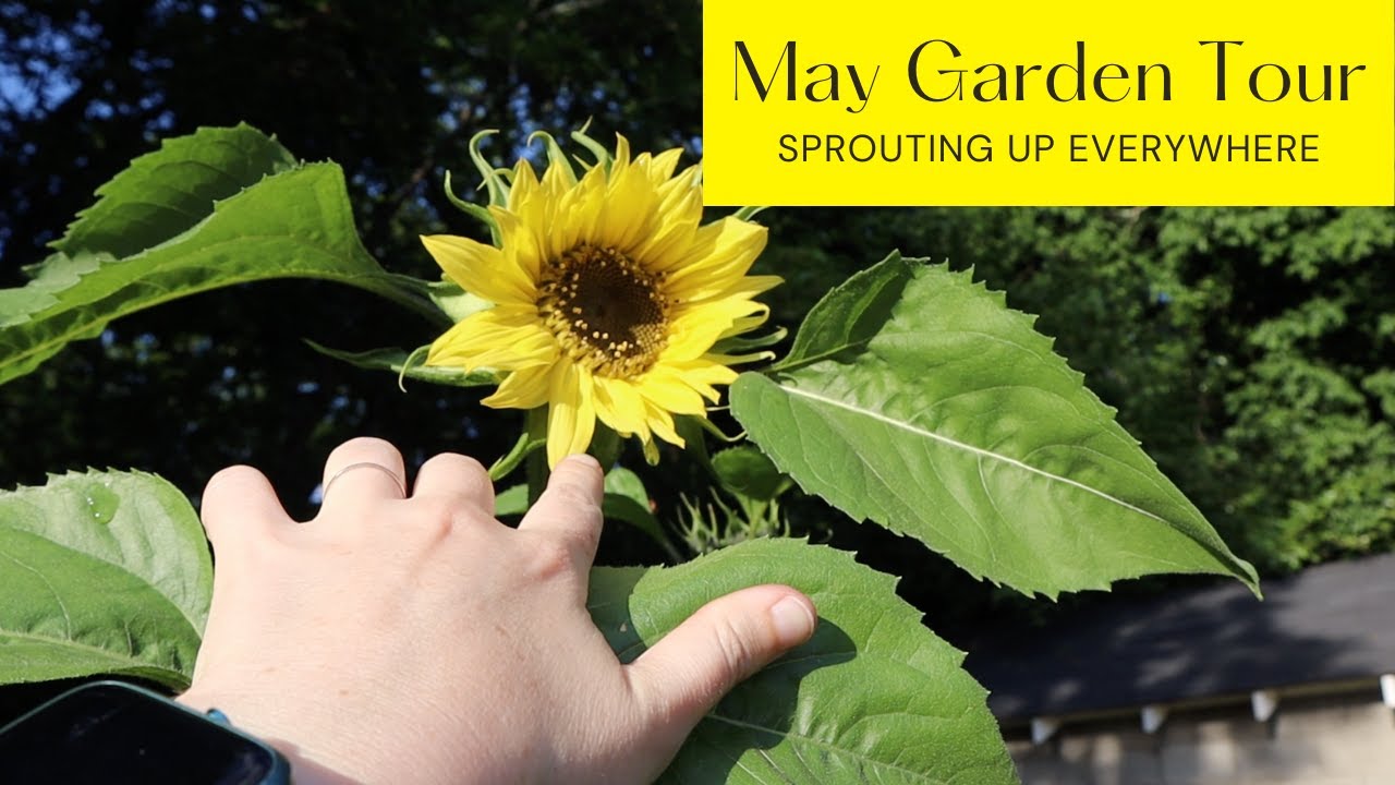 2021 May garden tour - YouTube
