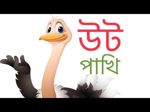 uth pakhi উটপাখি - YouTube