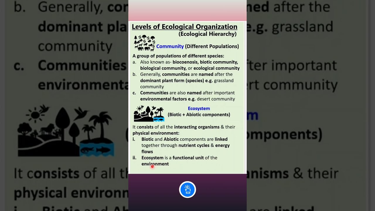Difference between Community and Ecosystem | Ecological Hierarchy | # ...