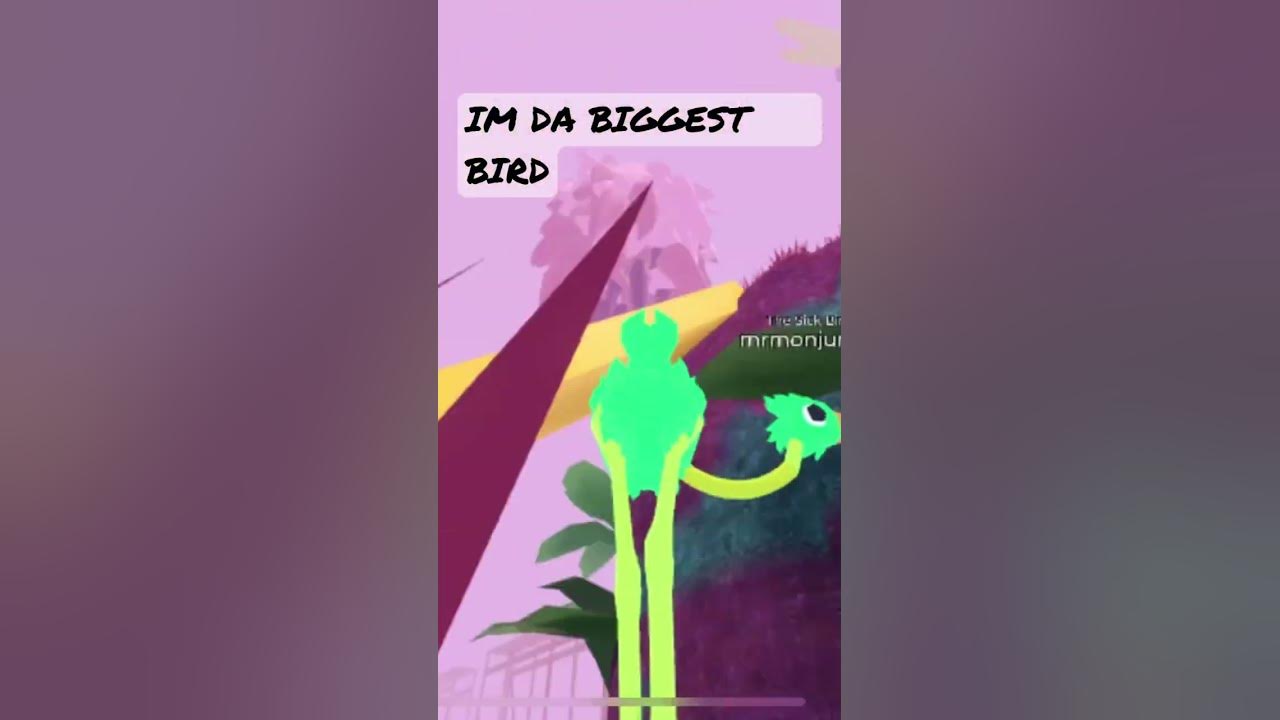 Im Da Biggest Bird Youtube