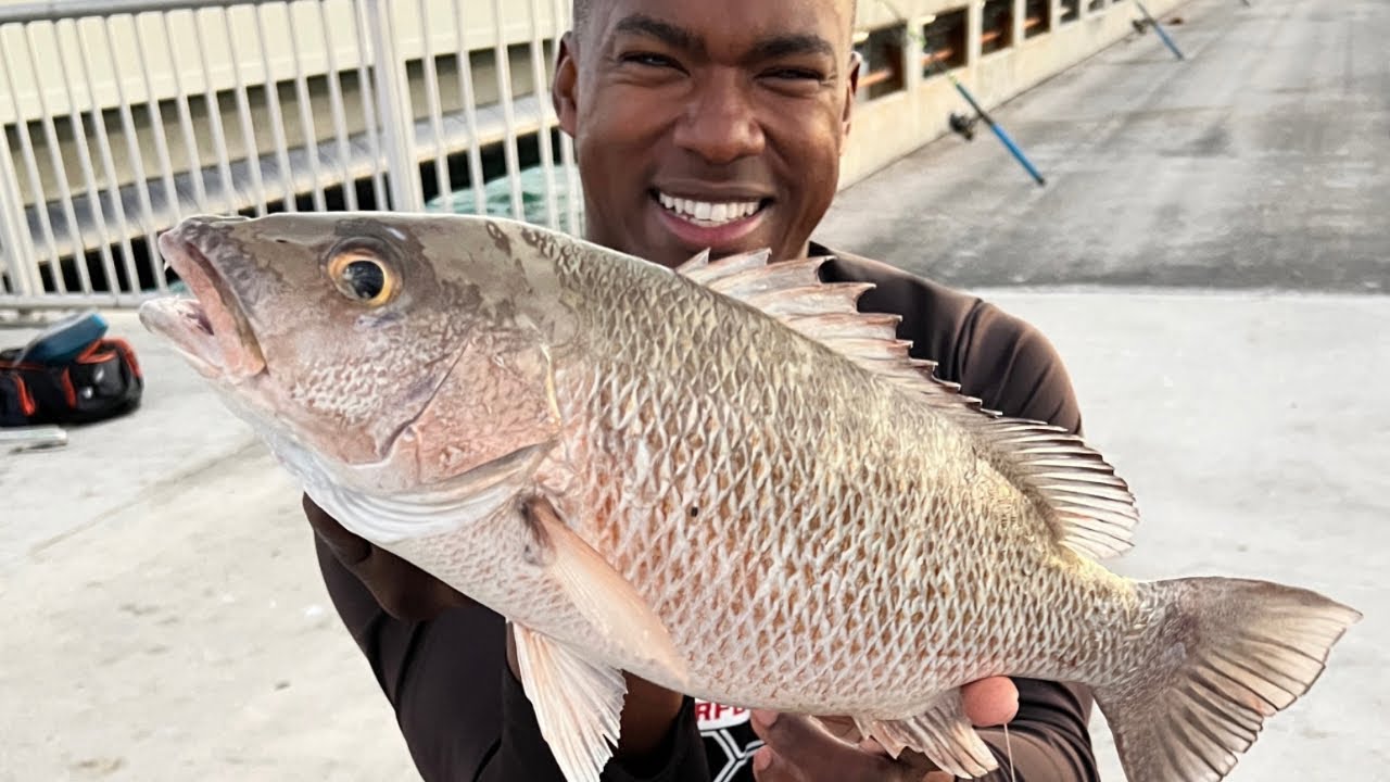 SECRET Bridge Technique for BIG SNAPPER! (FL Keys Bridge Fishing) - YouTube