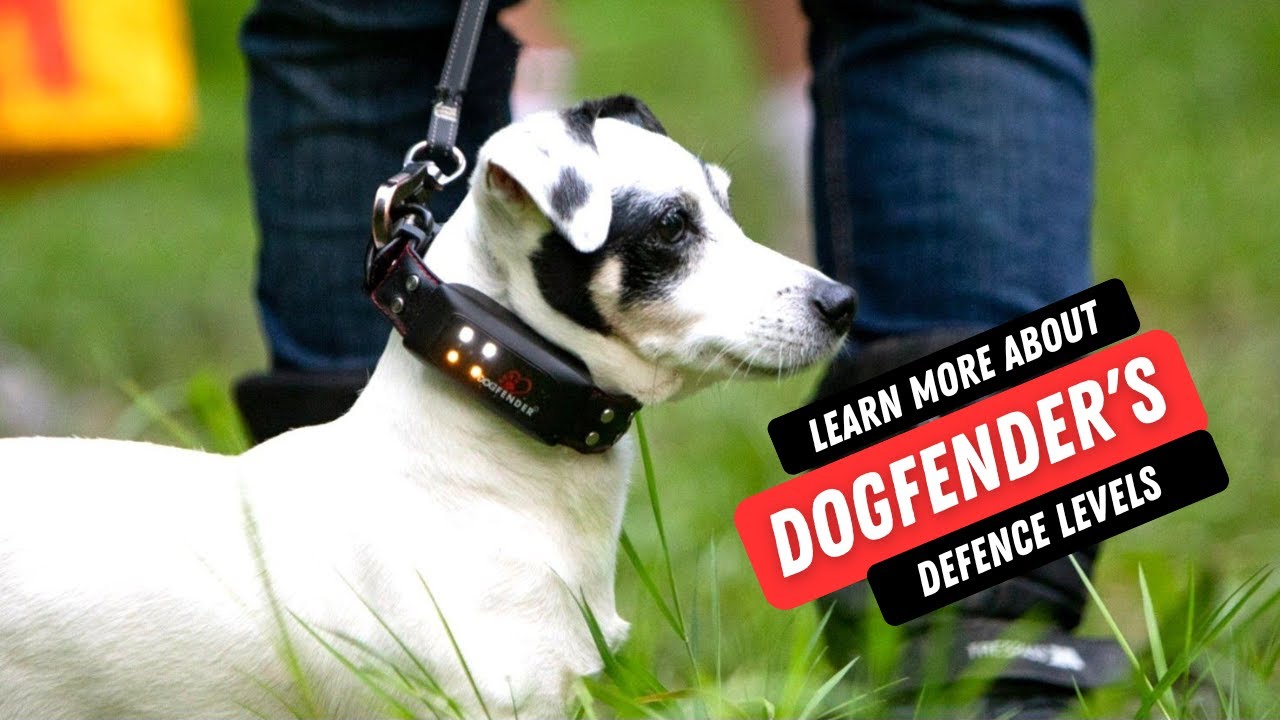Learn more about DogFender's Customisable defence levels - YouTube