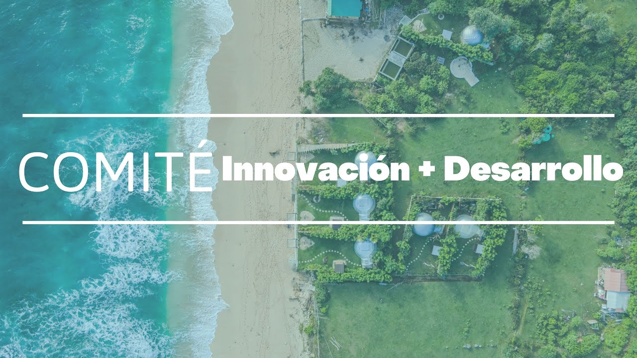 Comité de Innovación y Desarrollo (Portia Hart) - YouTube