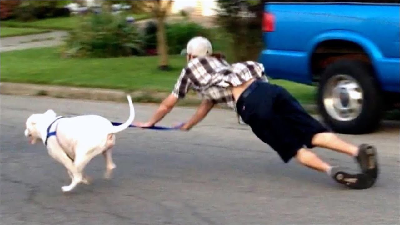 Best Fails Of The Week 😁 Funniest Fails Compilation 😂😆😁 Funny Videos ...