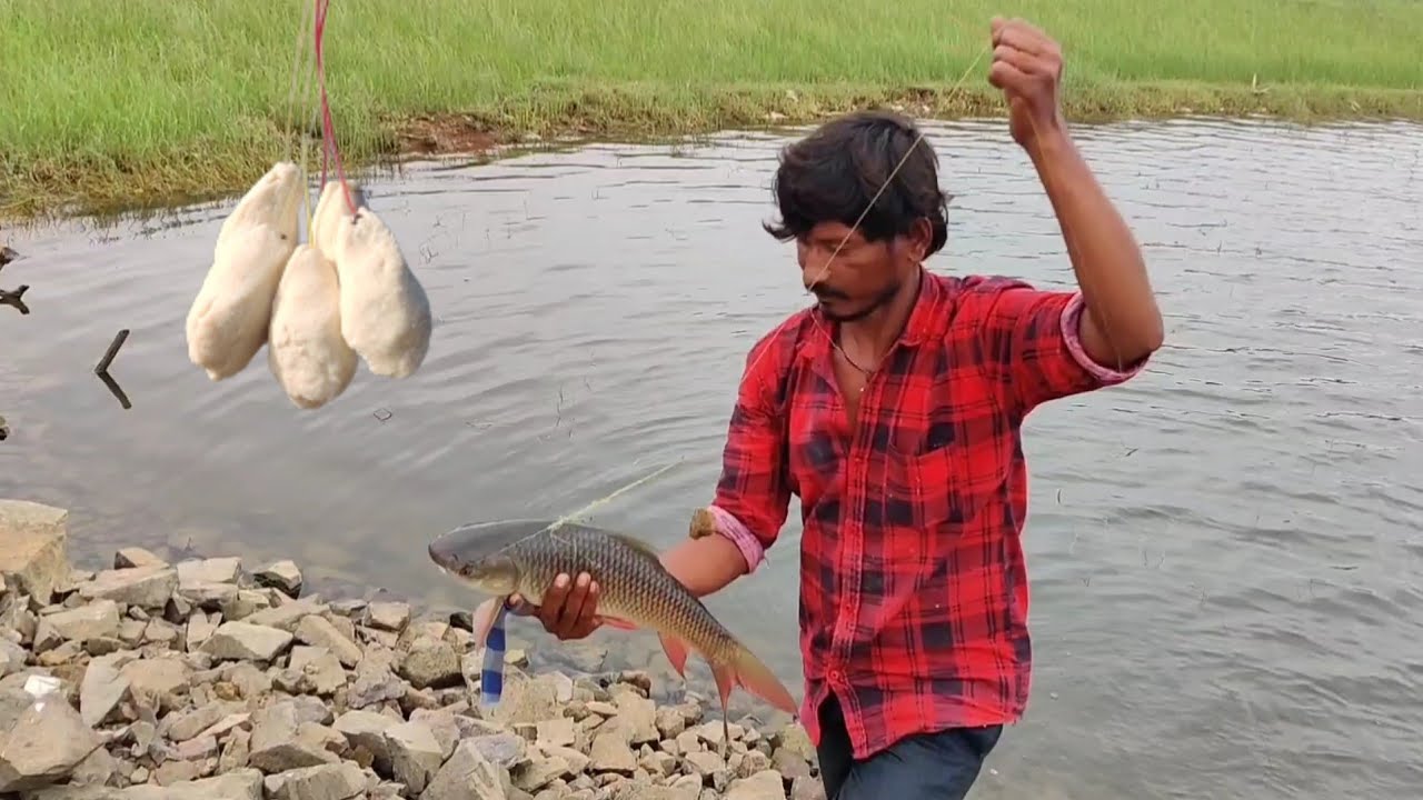 Bottle fish hunting in Dam || Best way to easy fishing || Live fishing ...