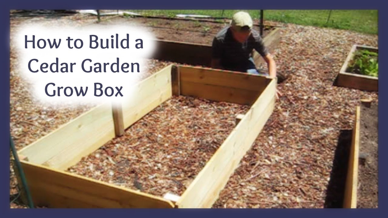 Build a Cedar Garden Box for about $8.00 - YouTube