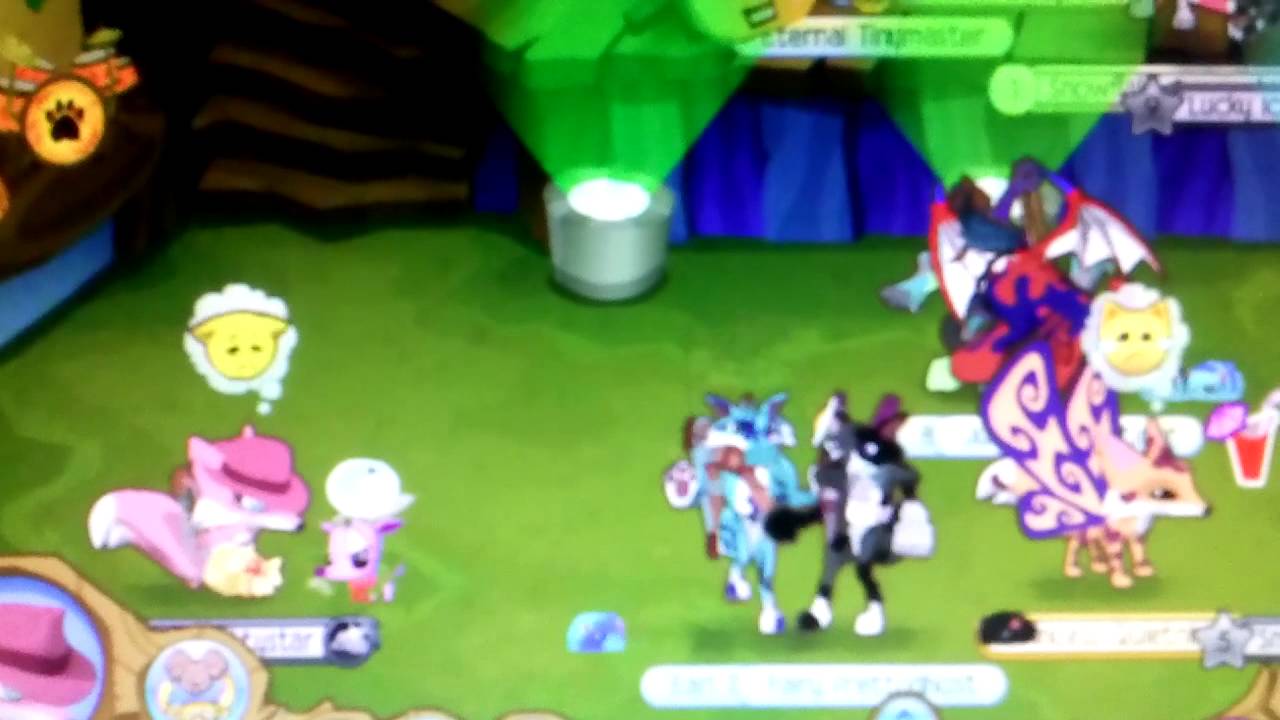 Ooh some mating in animal jam - YouTube