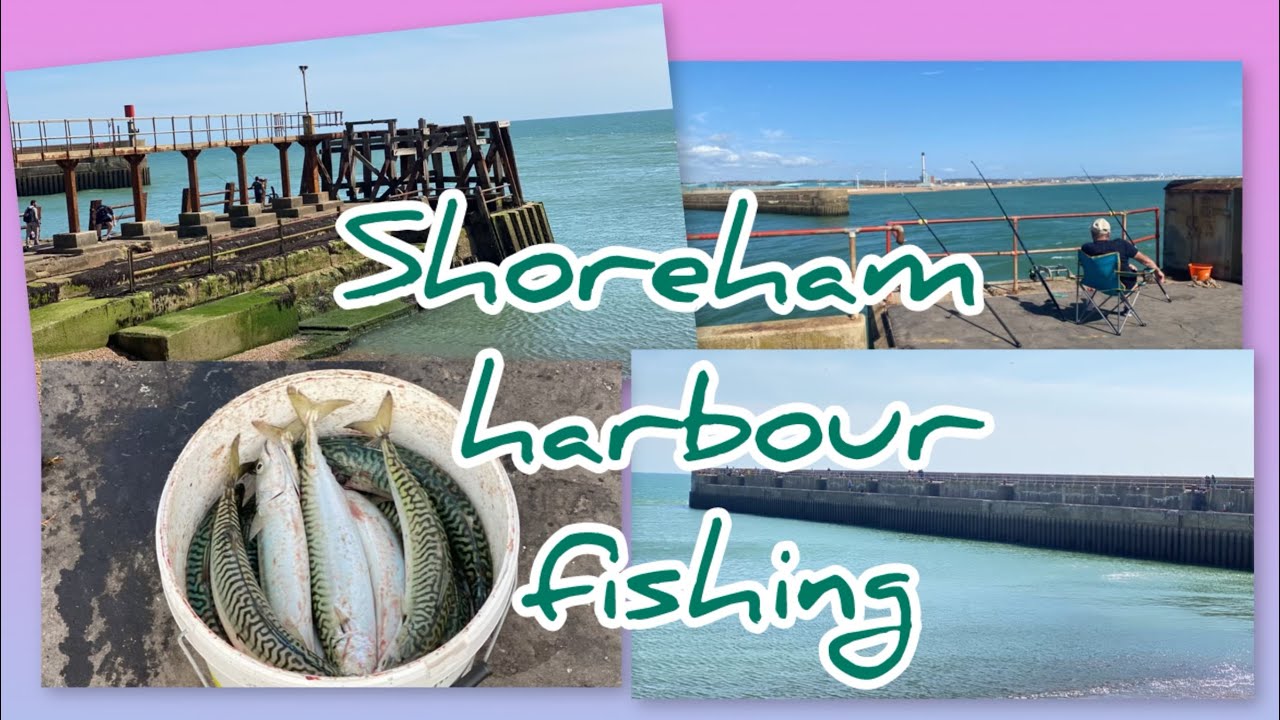 Shoreham by the sea | Harbour Fishing | UK sea fishing | Mackerel ...