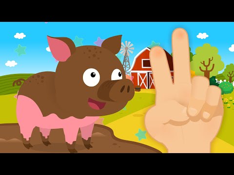 Hide and Seek with Farm Animals | Learn Numbers & Words | Play for Kids ★ TidiKids