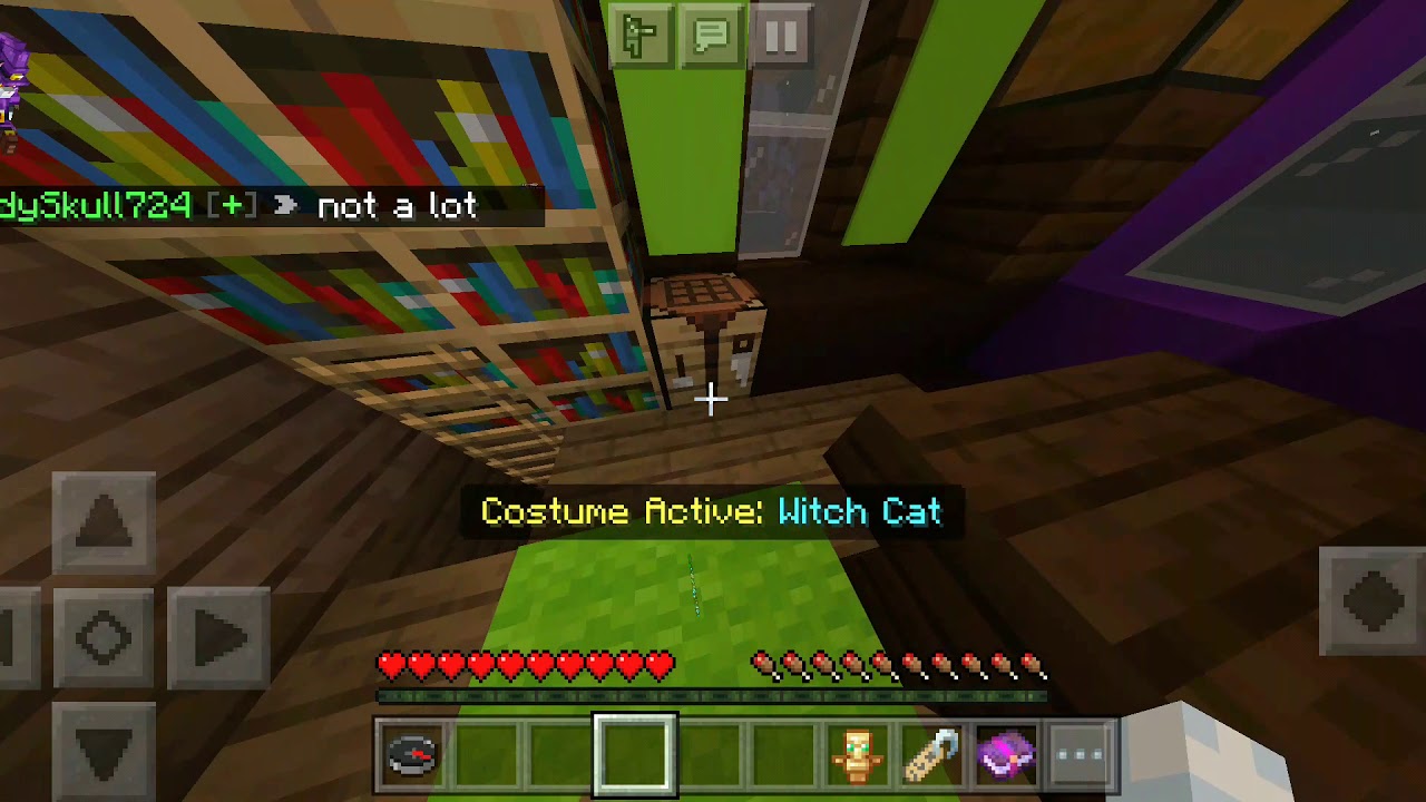 minecraft THE HIVE WITCH CAT - YouTube