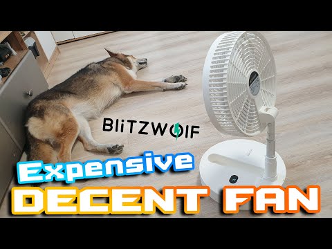 BlitzWolf BW-F1 ⚡ Big Folding USB C Fan with built in Battery 🚀 Expensive but Xioami Quality 👌