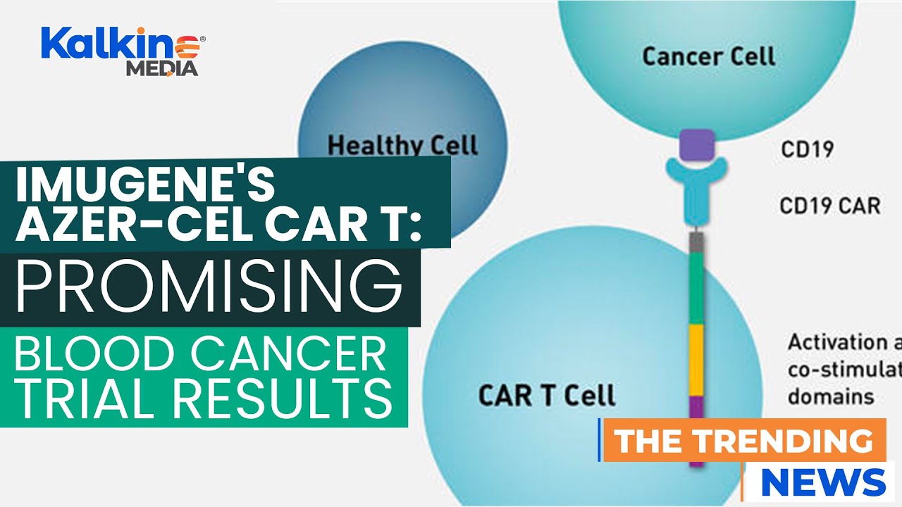 Imugene’s ASX IMU azer cel CAR T therapy trial shows encouraging ...