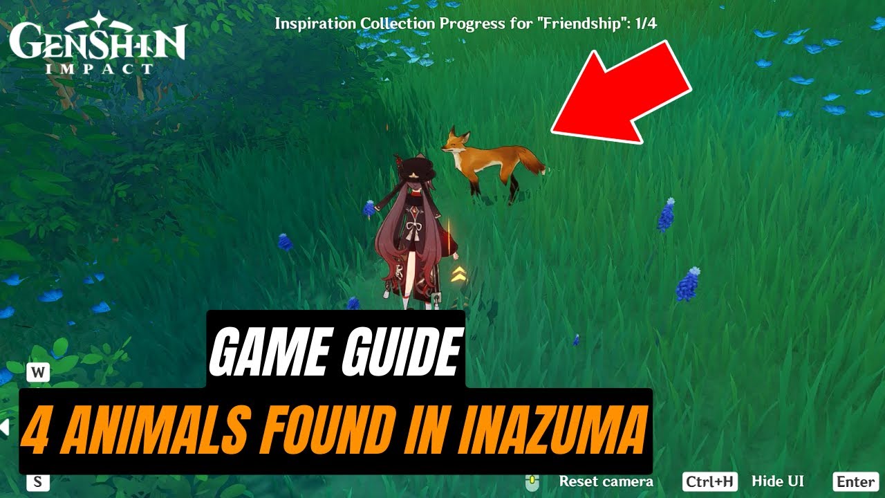 4 Foto Hewan Khas Inazuma | Genshin Impact - YouTube
