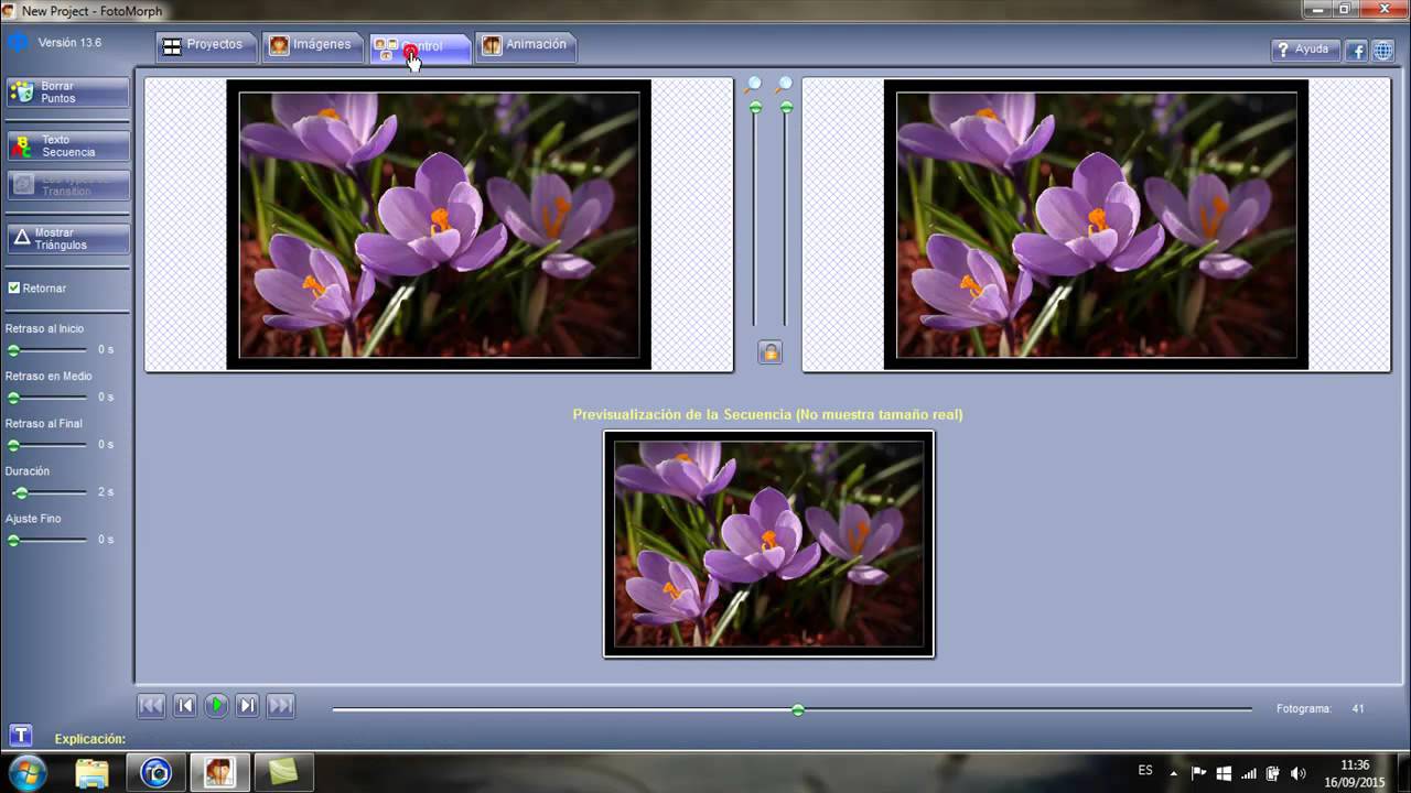 FotoMorph-PhotoImpact-Ulead Gif Animator Tutorial, Blüte in Bewegung ...