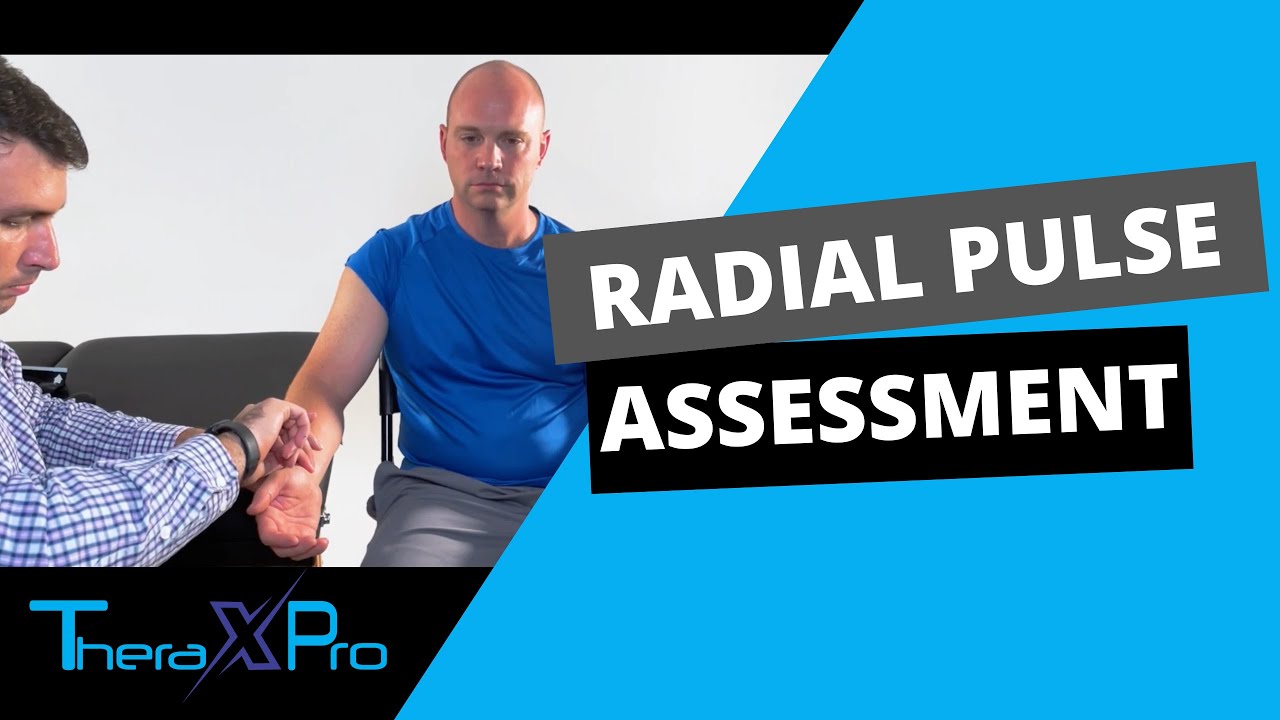 Radial Pulse Assessment | Heart Rate - YouTube