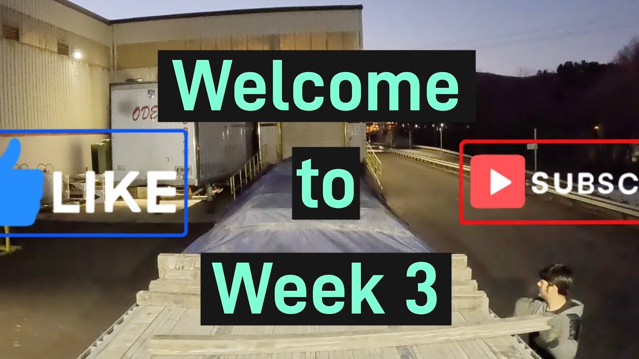 Melton Truck Lines Vlog | Week 3 | New Trailer - YouTube