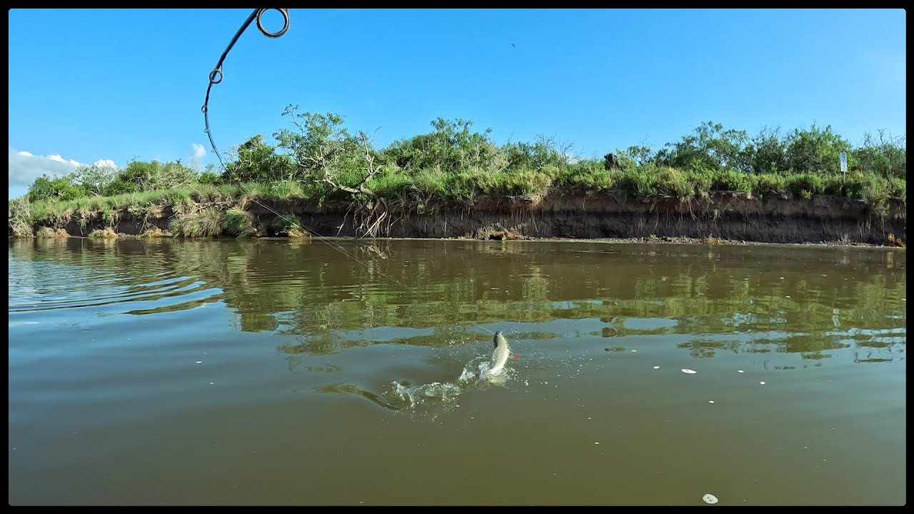 Arroyo River Rat 🐀 ARR V33 - YouTube