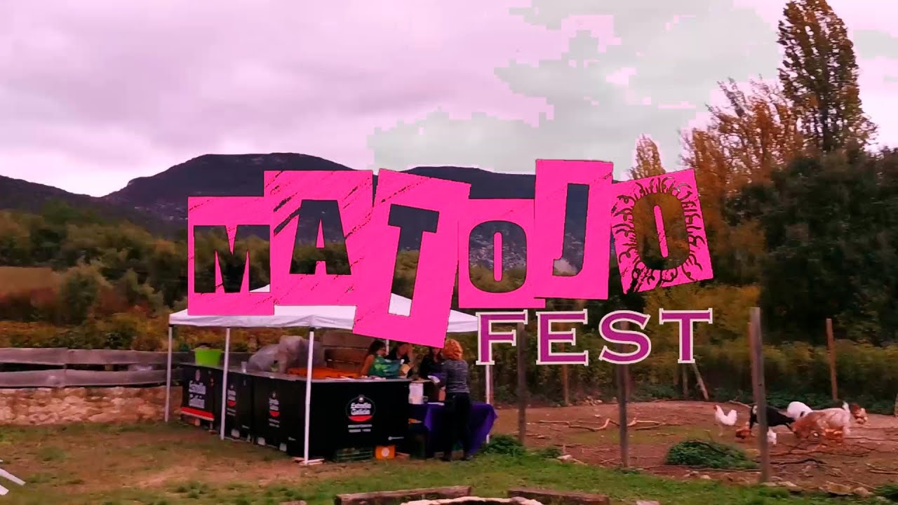 Matojo Fest 2023 - YouTube
