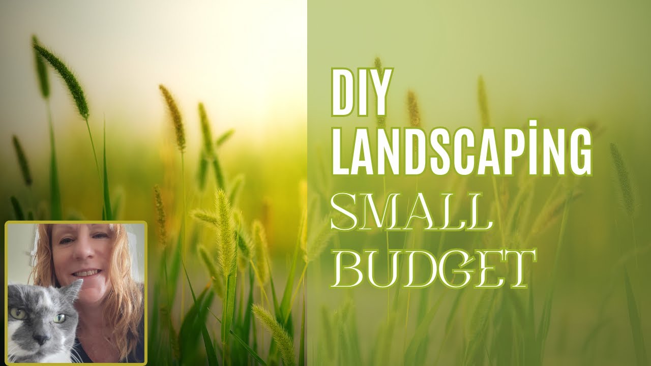 Landscaping lessons from last year. - YouTube