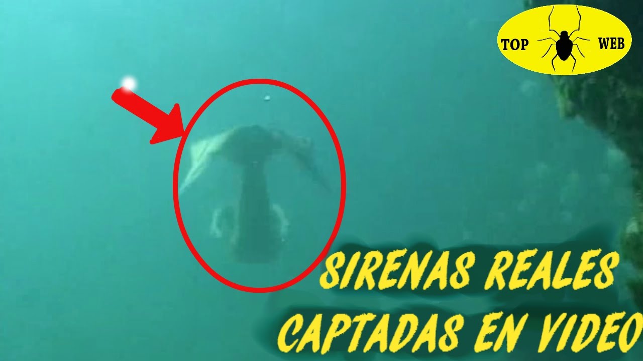 SIRENAS REALES GRABADAS!!!! y ¡¡¡Vistas en la vida real!!! - YouTube