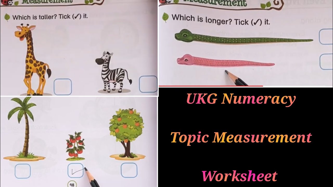 UKG Numeracy /Measurement - YouTube