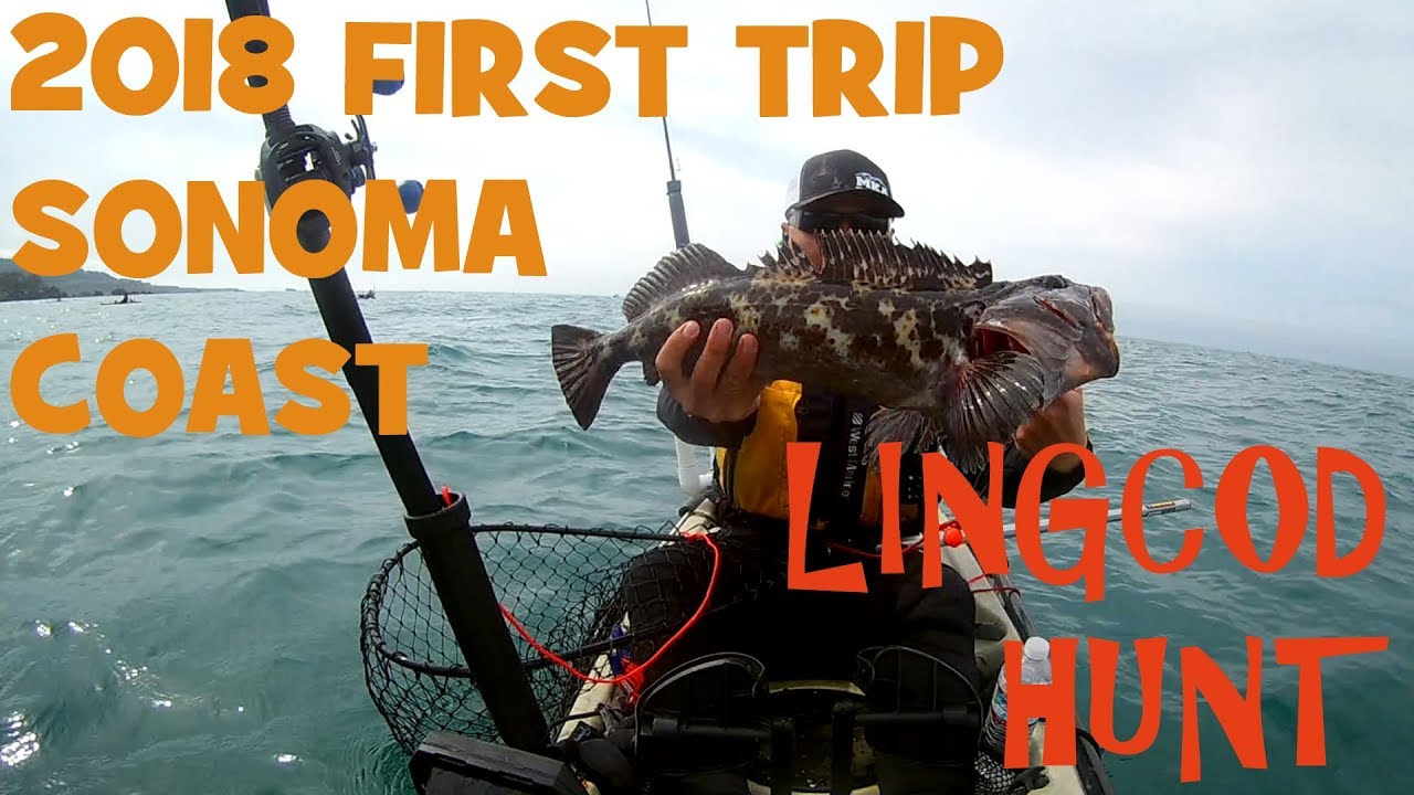 Lingcod Fishing at Sonoma Coast: First Trip of 2018 (Timber Cove) on my ...
