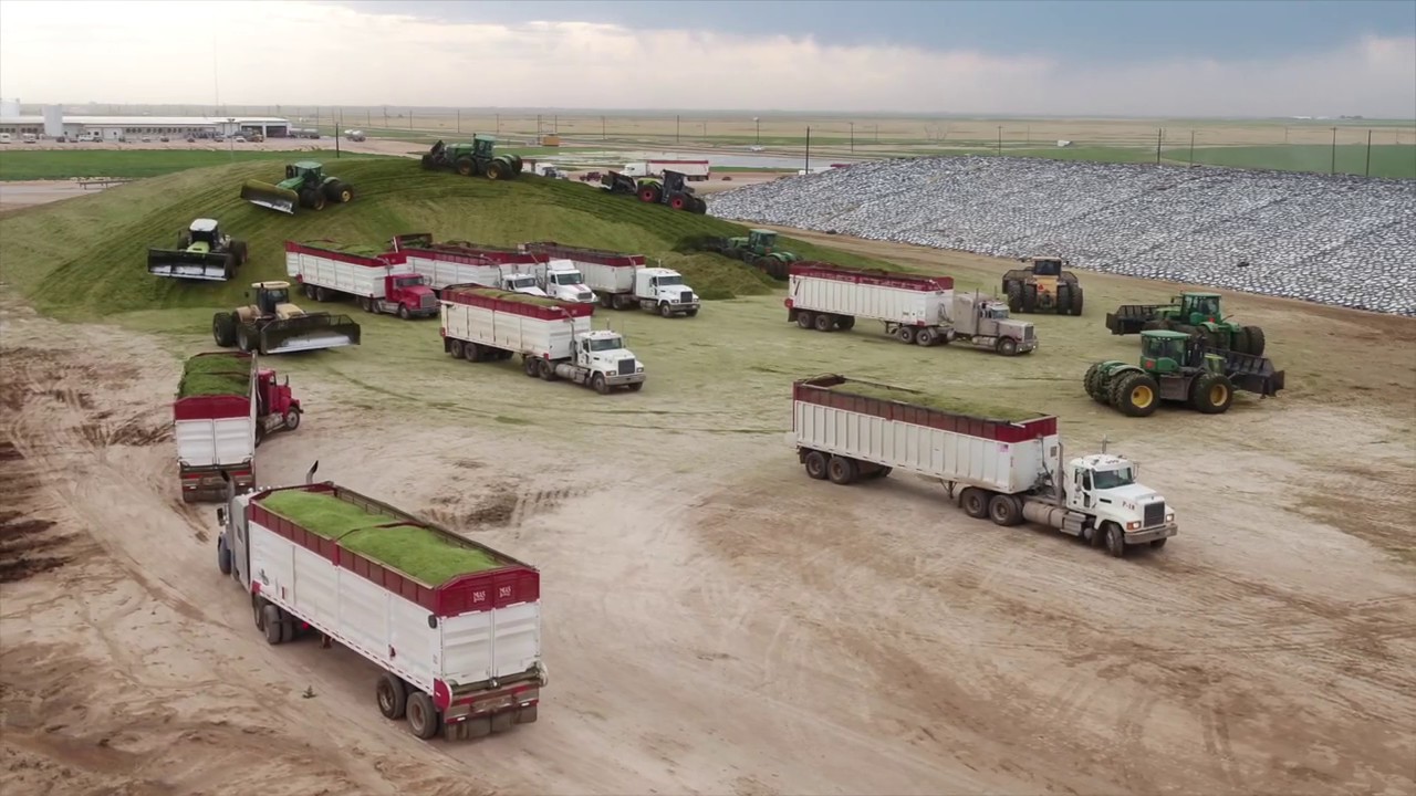 PMS & Harvesting clamping 1200 tonnes per hour in Texas - YouTube