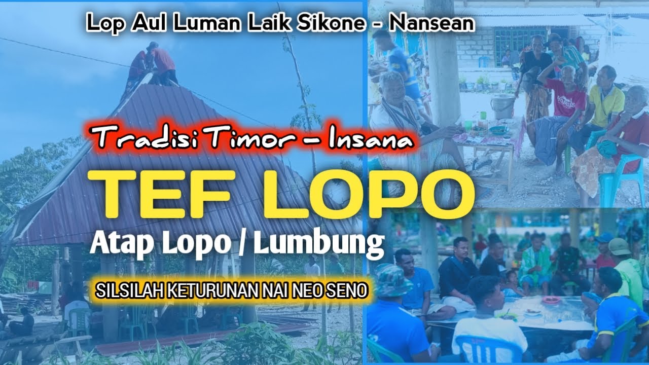 Tradisi Unik Orang Timor Insana, TEF LOPO, Atap Lopo atau Lumbung ...