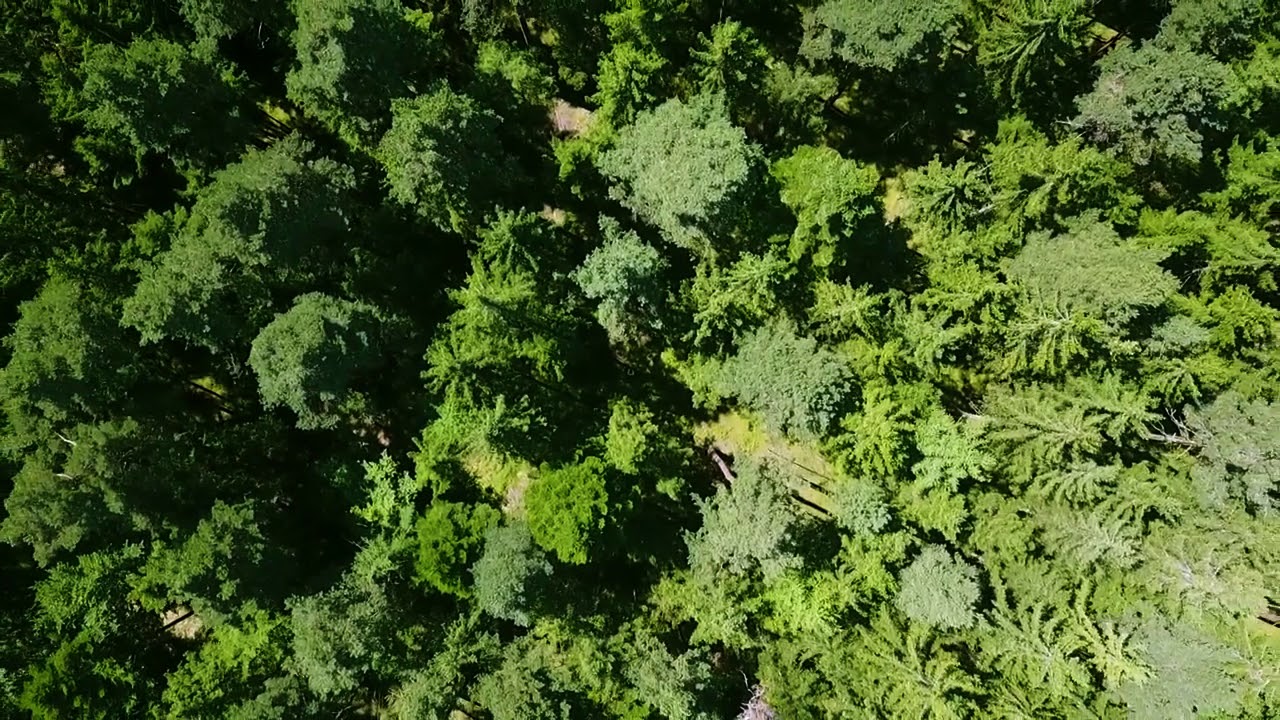 Black Forest zoom out shot DJI Mavic Pro - YouTube