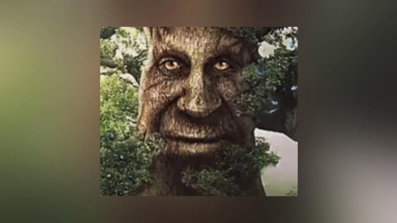 Wise Mystical Tree (music) memes - YouTube