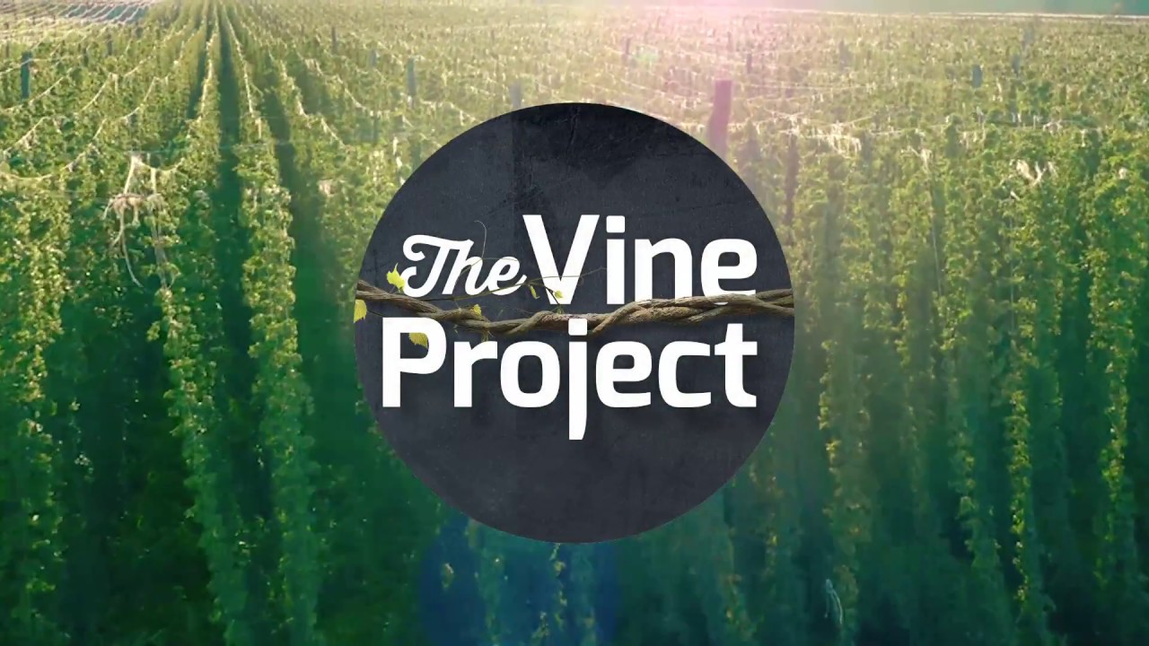 The Vine Project in the US - YouTube