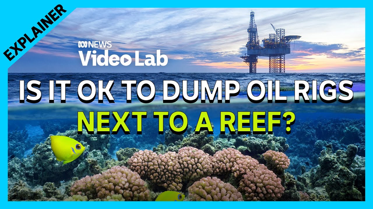 Rigs to Reef: Is it OK to dump oil rigs next to a reef? | ABC News ...