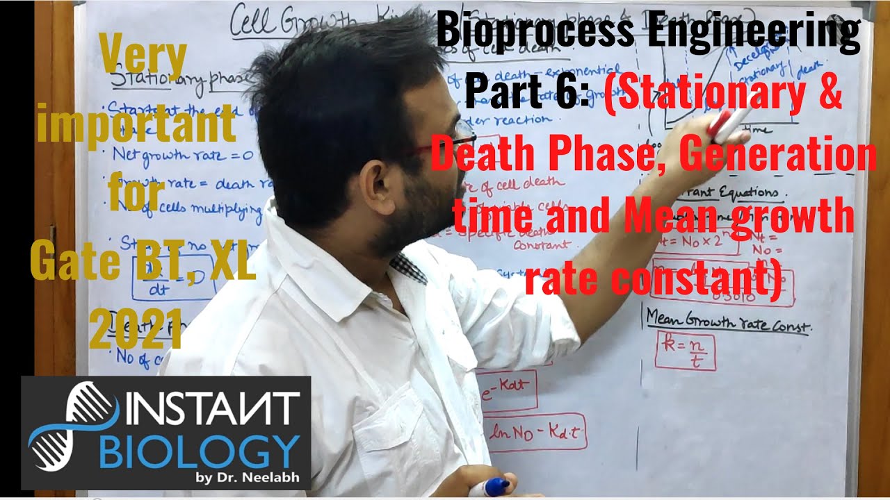 Bioprocess Engineering Part 6 Stationary Death Phase Doubling Time bioprocess-engineering-part-6-stationary-death-phase-doubling-time