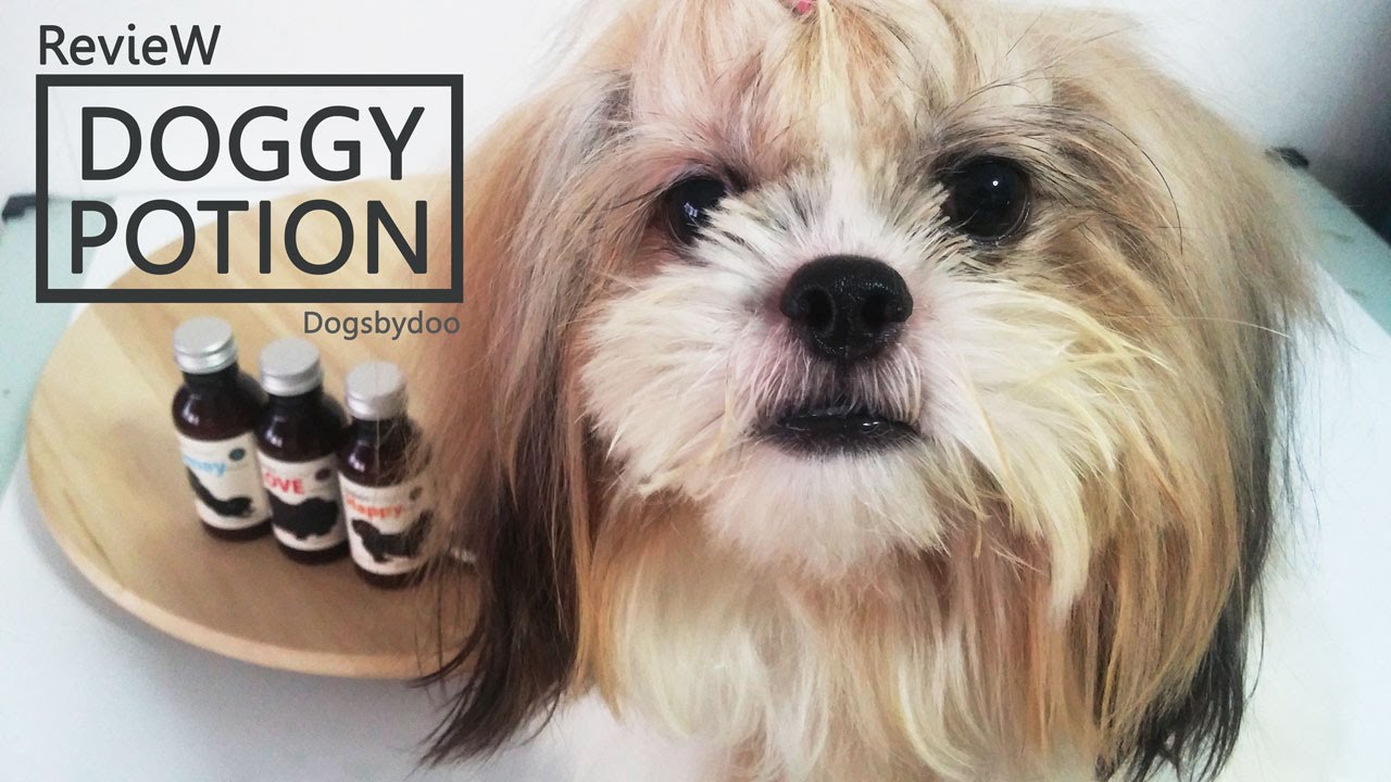 Dog Product Reviews EP 02|แชมพูน้องหมา Doggy potion - YouTube