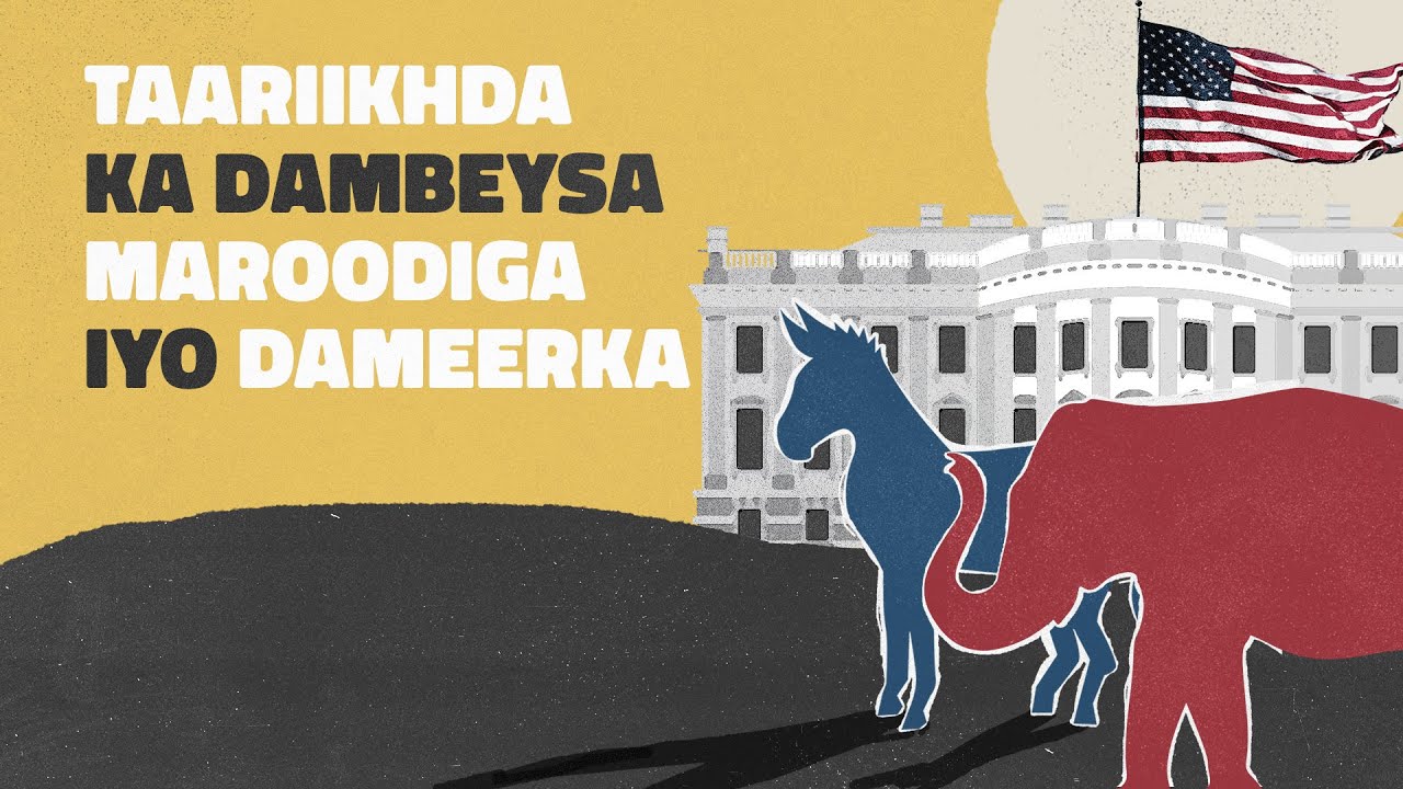 Taariikhda ka dambeysa Maroodiga iyo Dameerka | VOA Somali - YouTube Taariikhda ka dambeysa Maroodiga iyo Dameerka | VOA Somali - YouTube