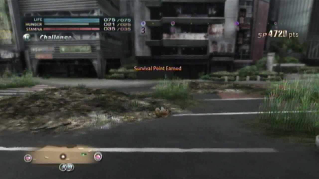 Tokyo Jungle Gameplay- PS3 (Part 1) - YouTube
