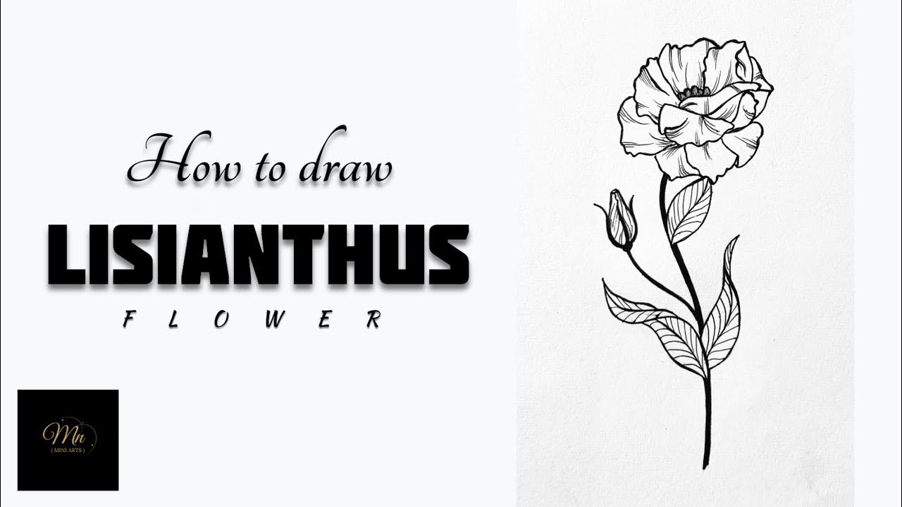 Lisianthus flower sketch || How to draw Lisianthus flower ? || A simple ...