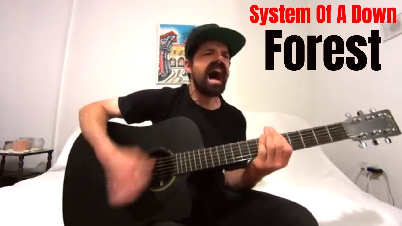Forest - System Of A Down [Acoustic Cover by Joel Goguen] - YouTube