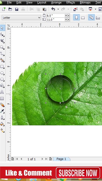 Water Drop Effects In Coreldraw! | Coreldraw Tutorial 2024 | Coreldraw Short | Youtube Short ...