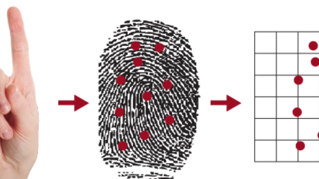 The Math Behind Fingerprint Scanning - YouTube