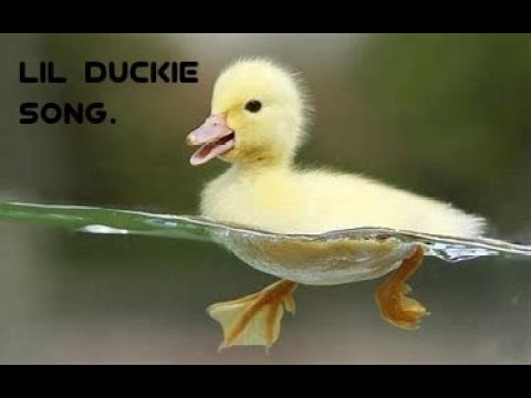 The Lil Duckie Song (My First Song) - YouTube