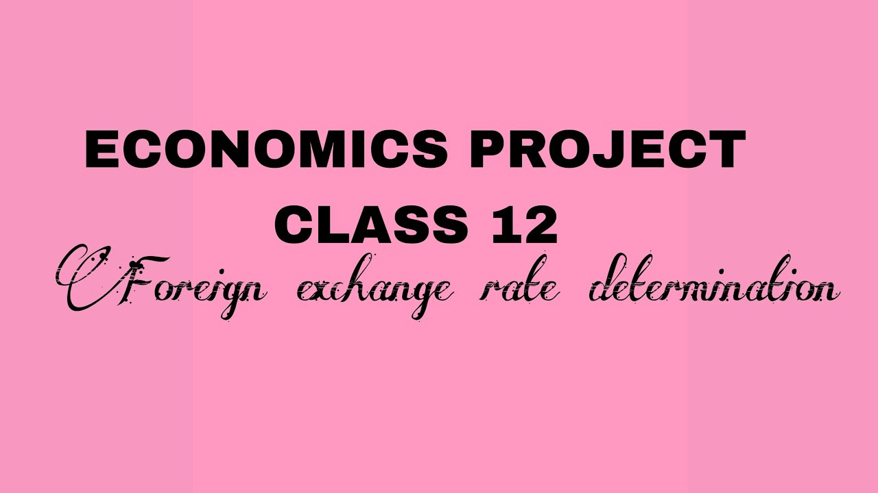 Economics Project Class 12- Foreign Exchange Rate - YouTube