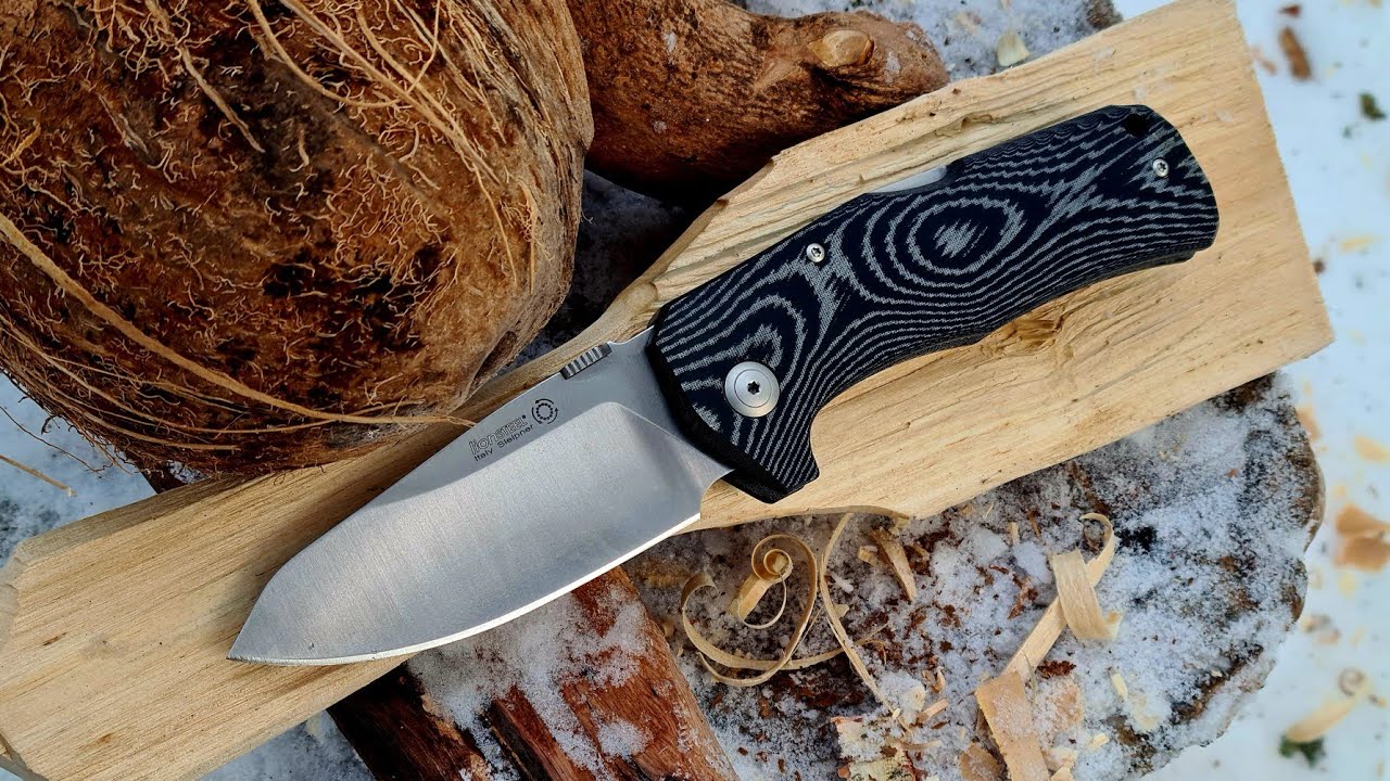 TM1 LionSteel test. - YouTube